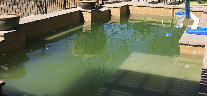 green bubbles in pool